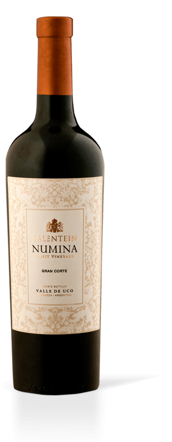 Salentein Numina Gran Corte | Rotwein | Alle Weine | Weine | Weinpreis